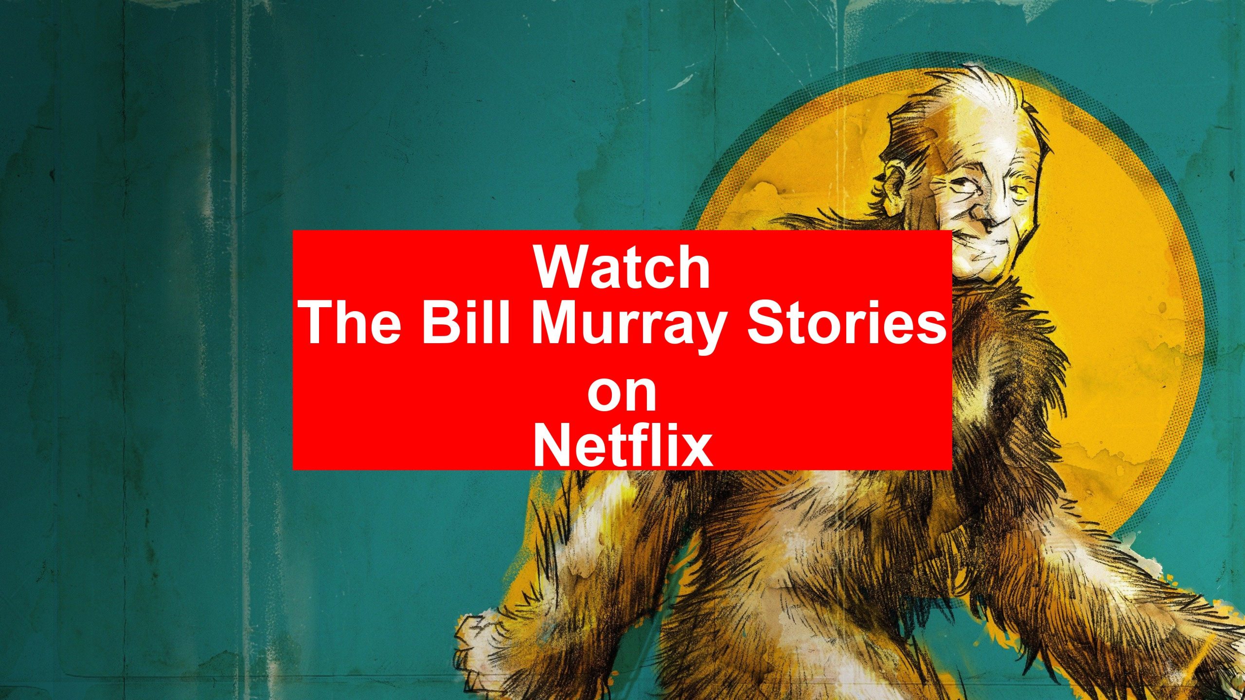 How to Watch The Bill Murray Stories On Netflix [Top Guide 2026] - My ...