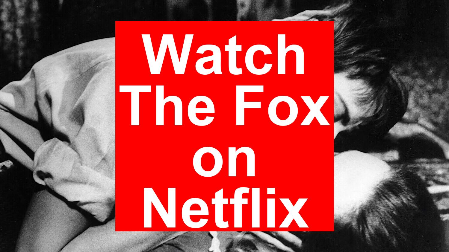 How to Watch The Fox On Netflix [Top Guide 2026] - My Vpn Hub