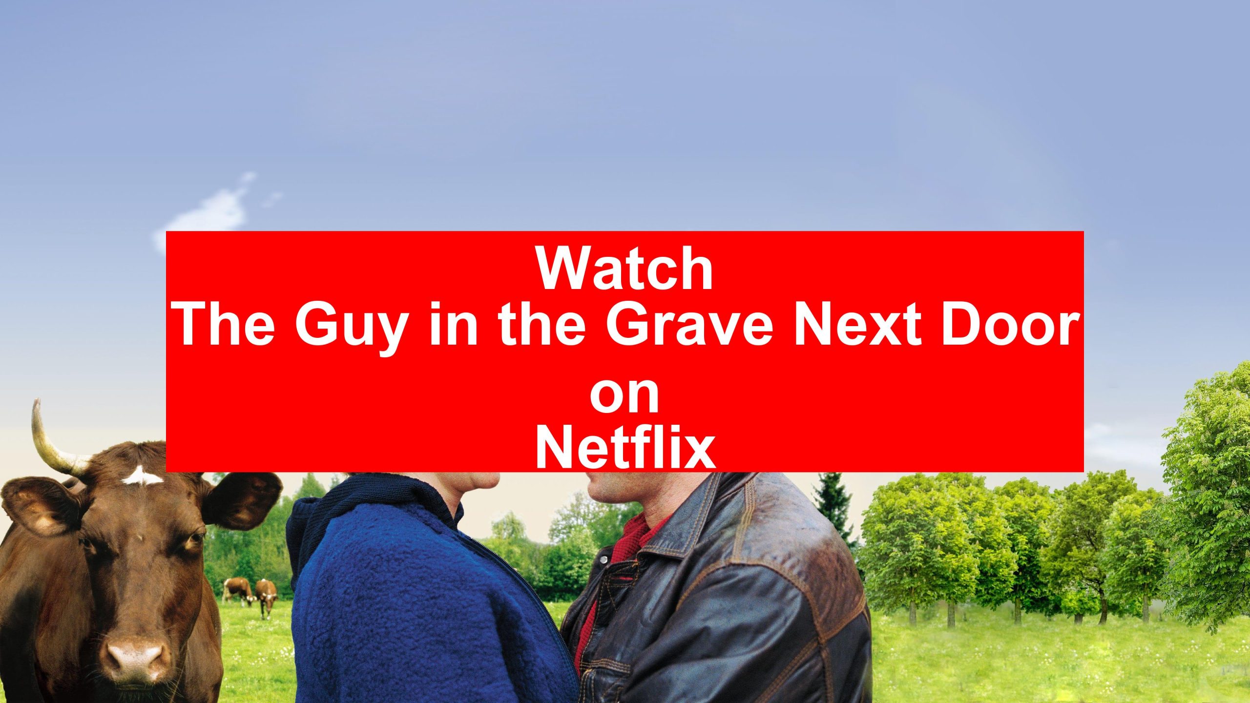 How to Watch The Guy in the Grave Next Door On Netflix [Easy Guide 2026 ...