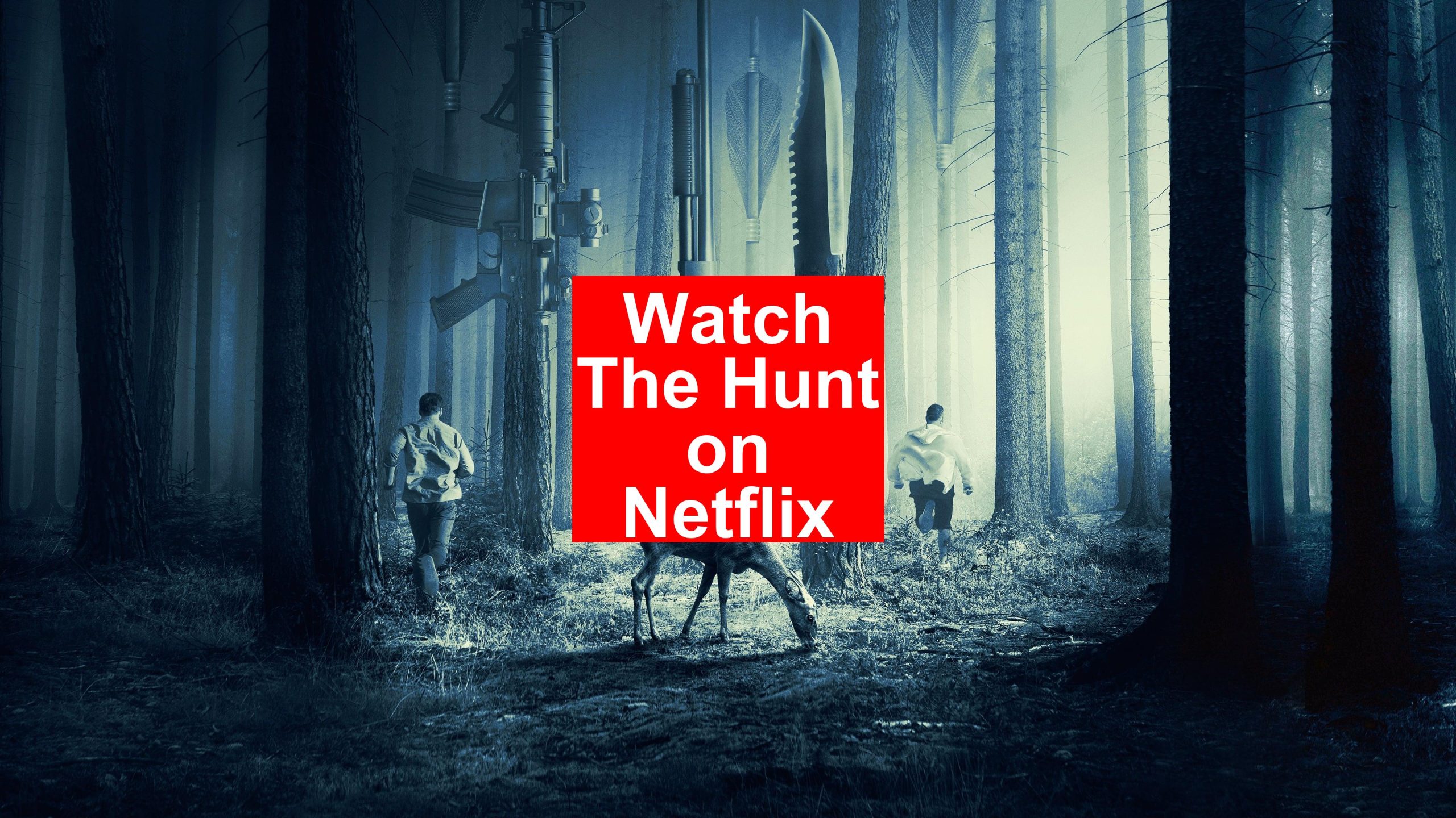 How to Watch The Hunt On Netflix [Fast Guide 2025] - My Vpn Hub