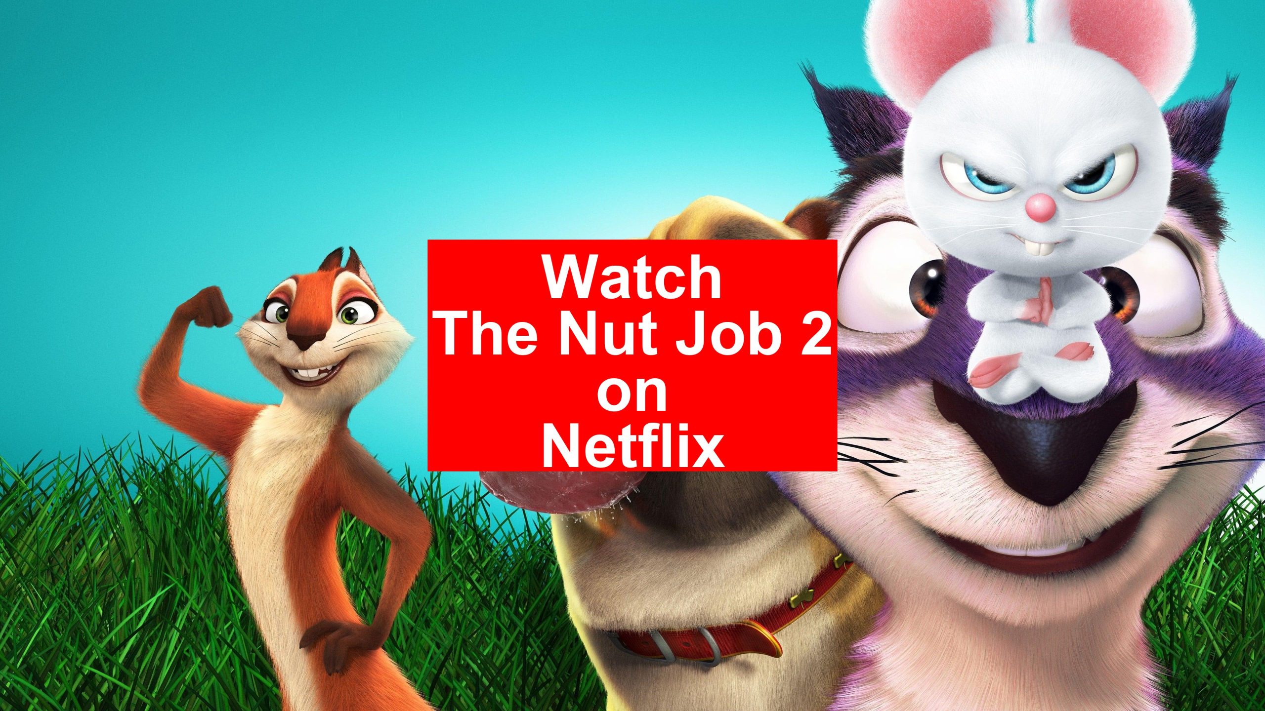 How to Watch The Nut Job 2 On Netflix [Fast Guide 2026] - My Vpn Hub