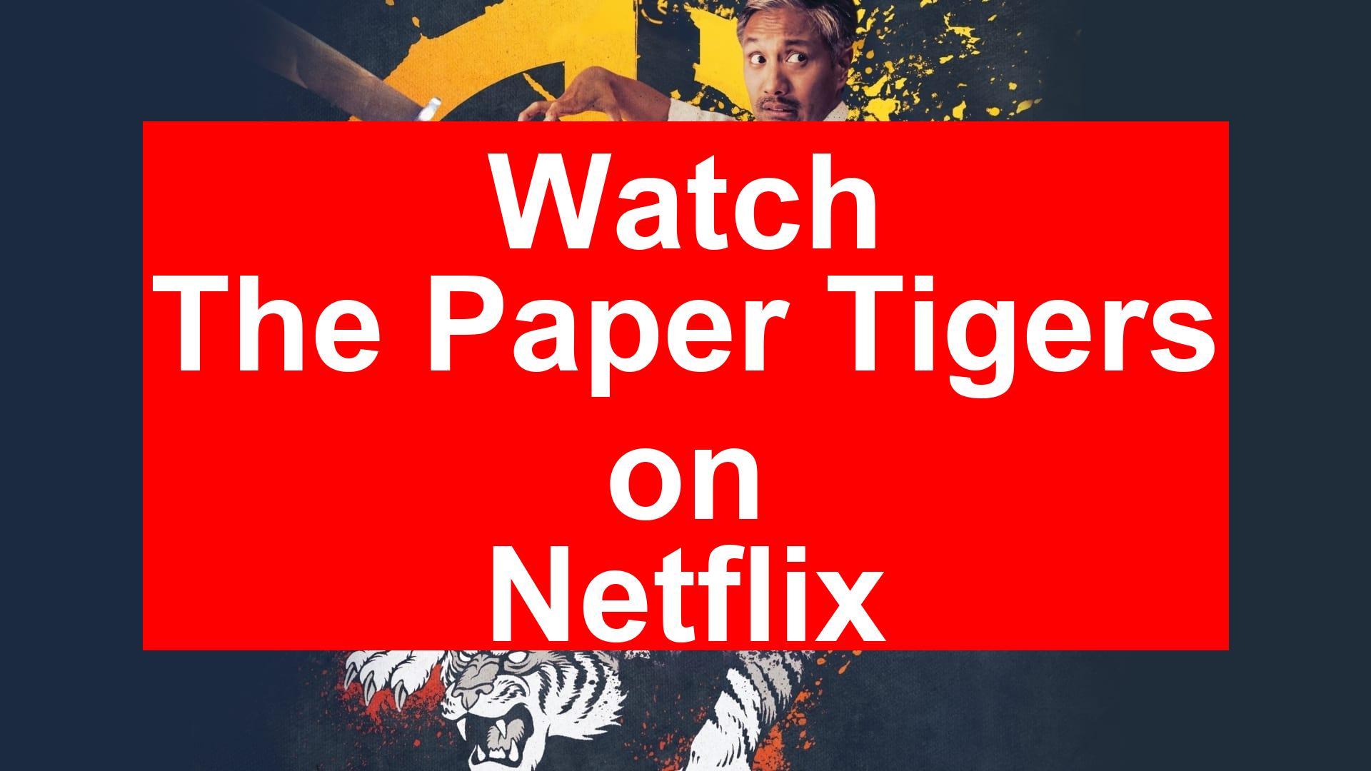 How to Watch The Paper Tigers On Netflix [Easy Guide 2025] - My Vpn Hub