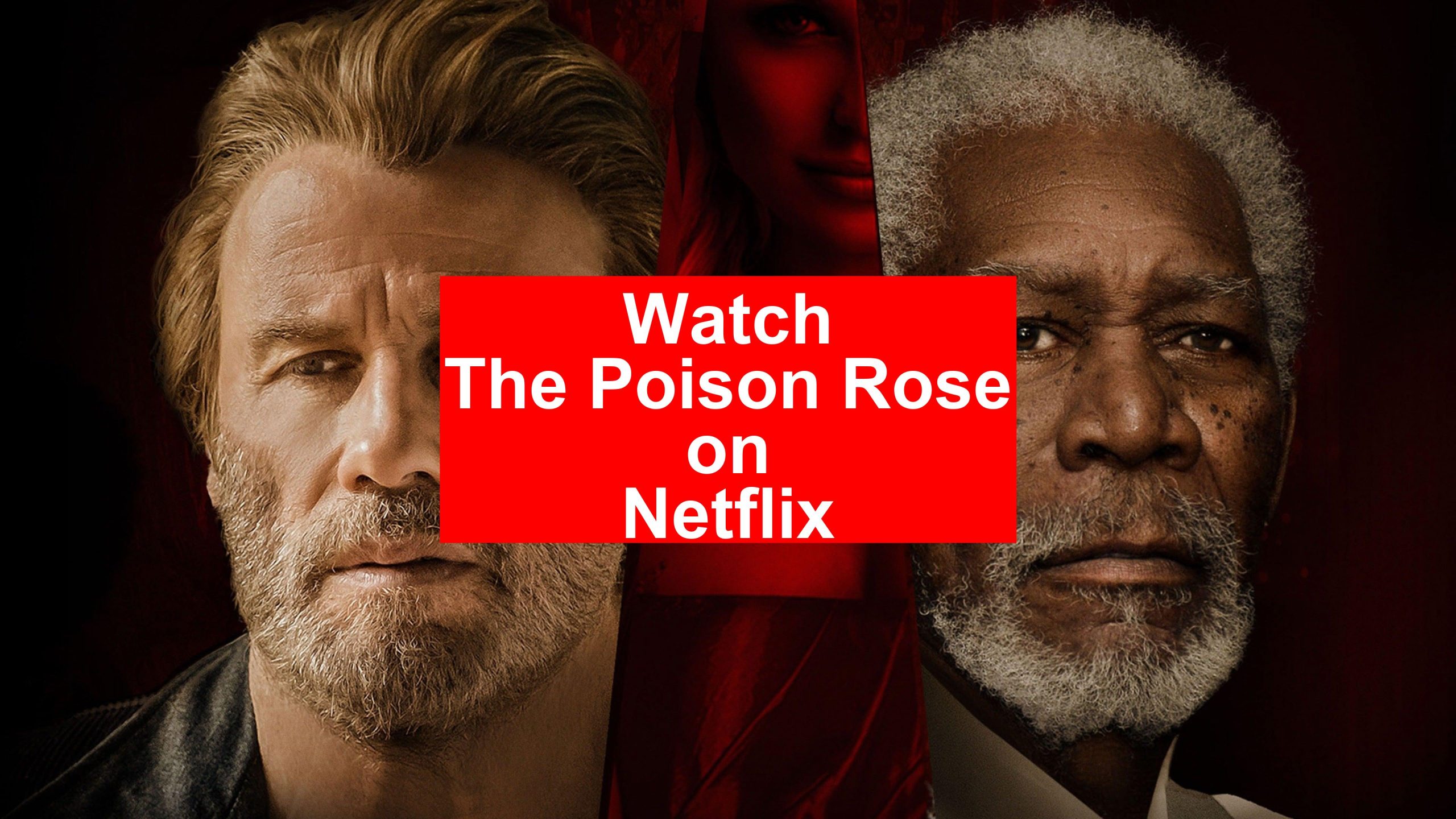 How to Watch The Poison Rose On Netflix [Fast Guide 2025] - My Vpn Hub