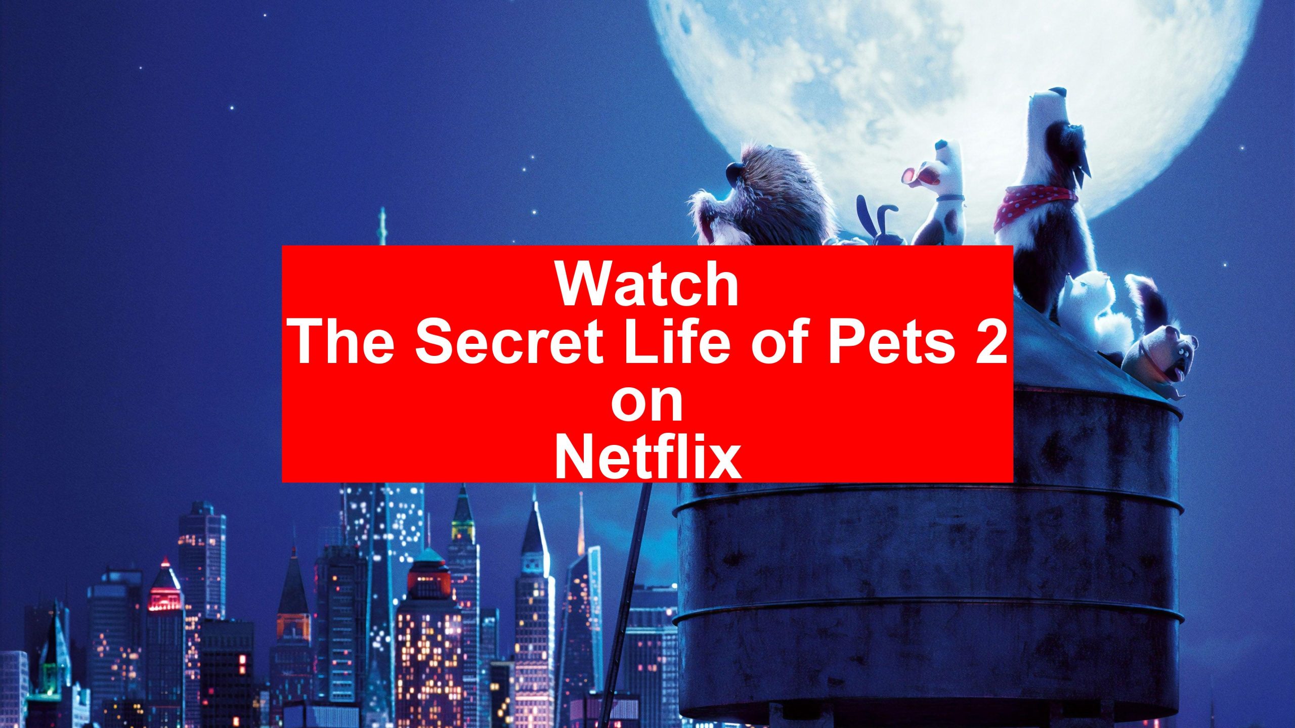 How to Watch The Secret Life of Pets 2 On Netflix [Easy Guide 2026 ...