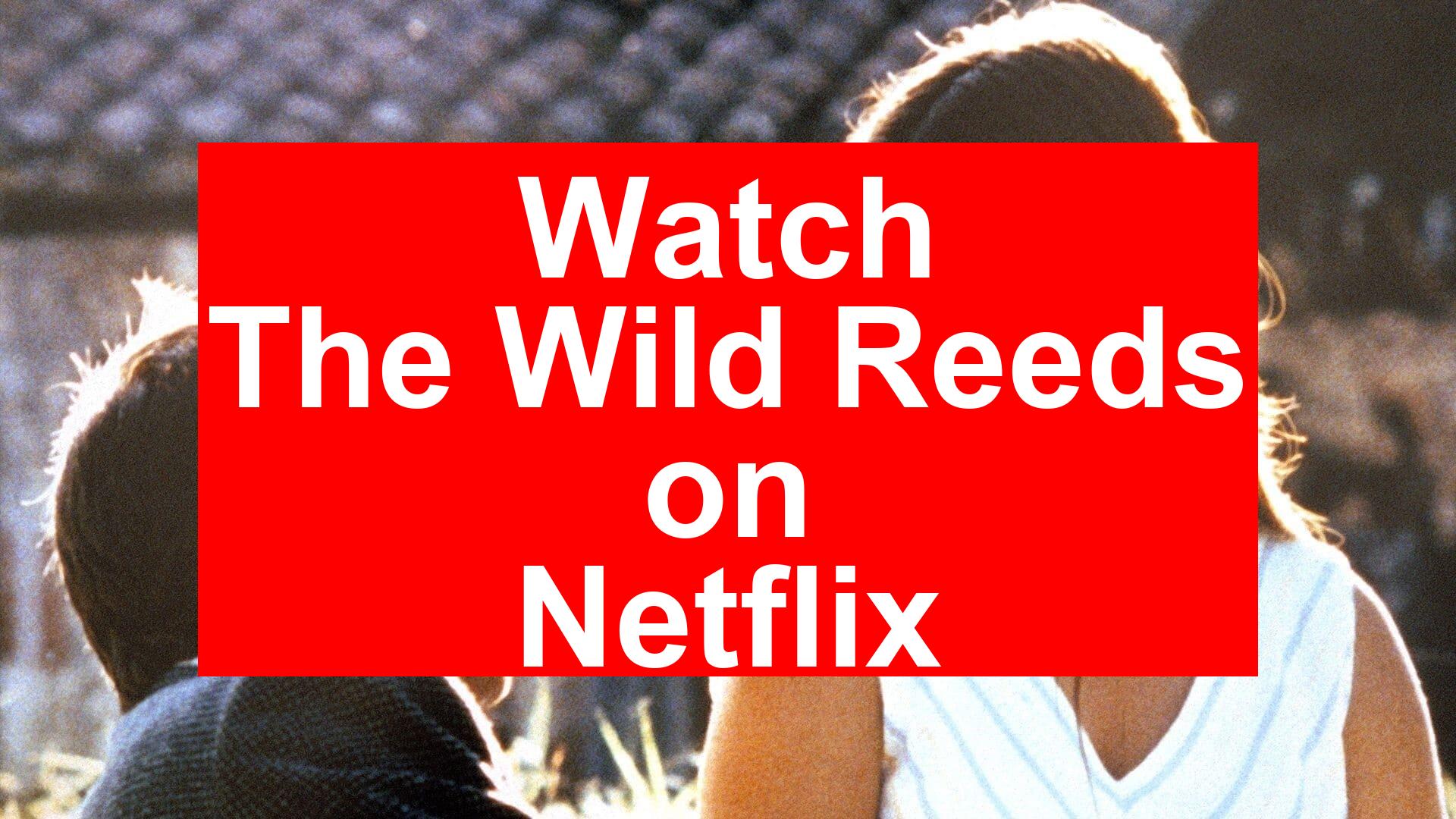 How to Watch The Wild Reeds On Netflix [Easy Guide 2025] - My Vpn Hub