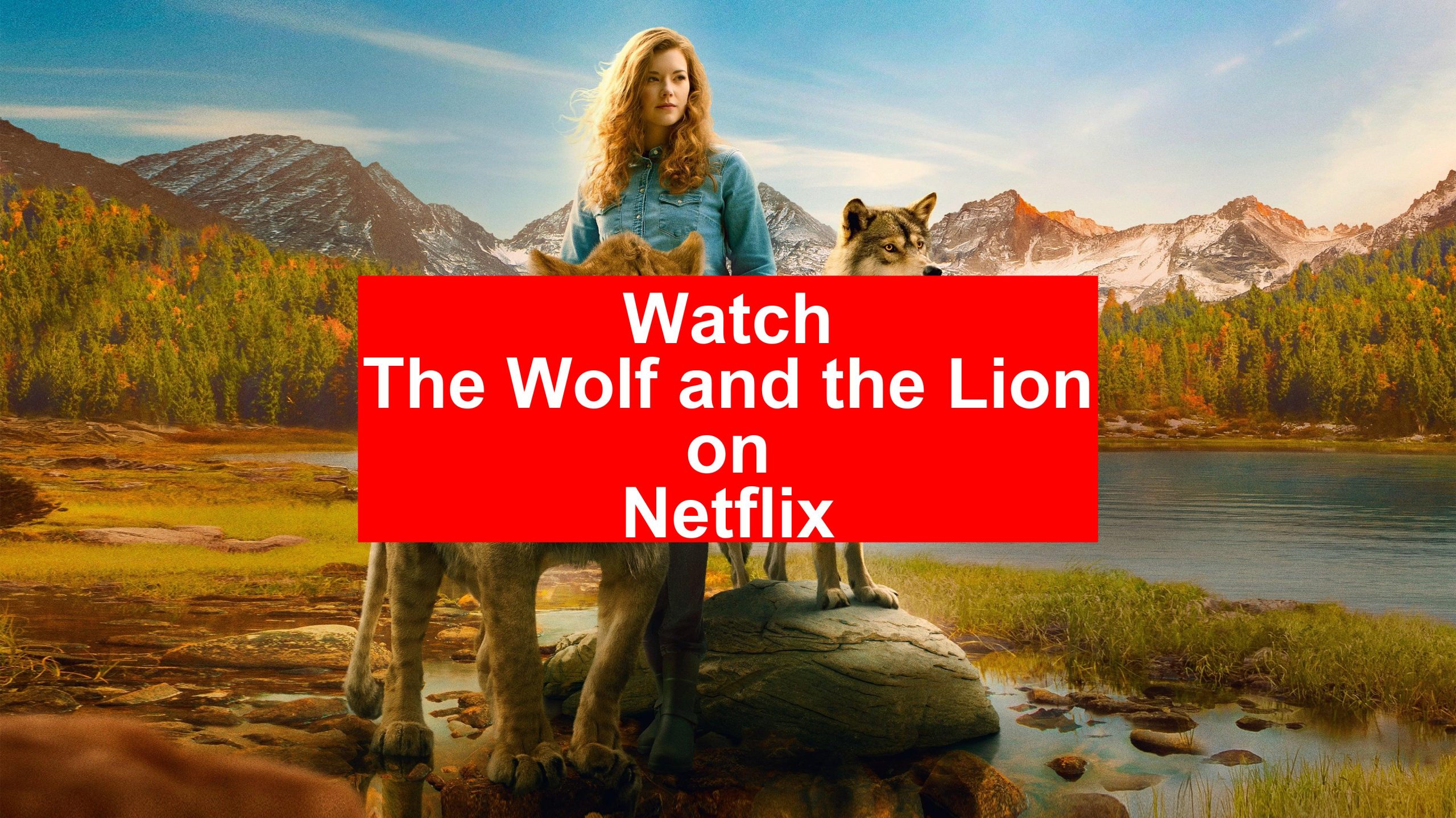 How to Watch The Wolf and the Lion On Netflix [Easy Guide 2025] - My Vpn Hub