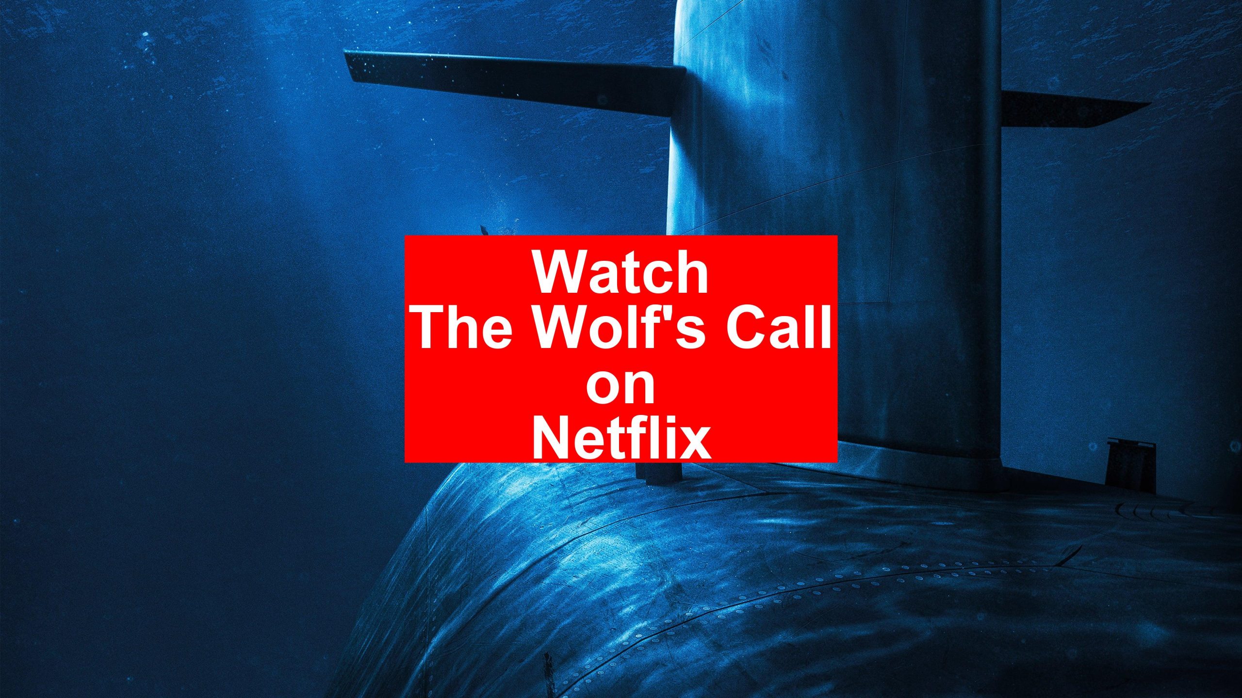How to Watch The Wolf’s Call On Netflix [Top Guide 2025] - My Vpn Hub