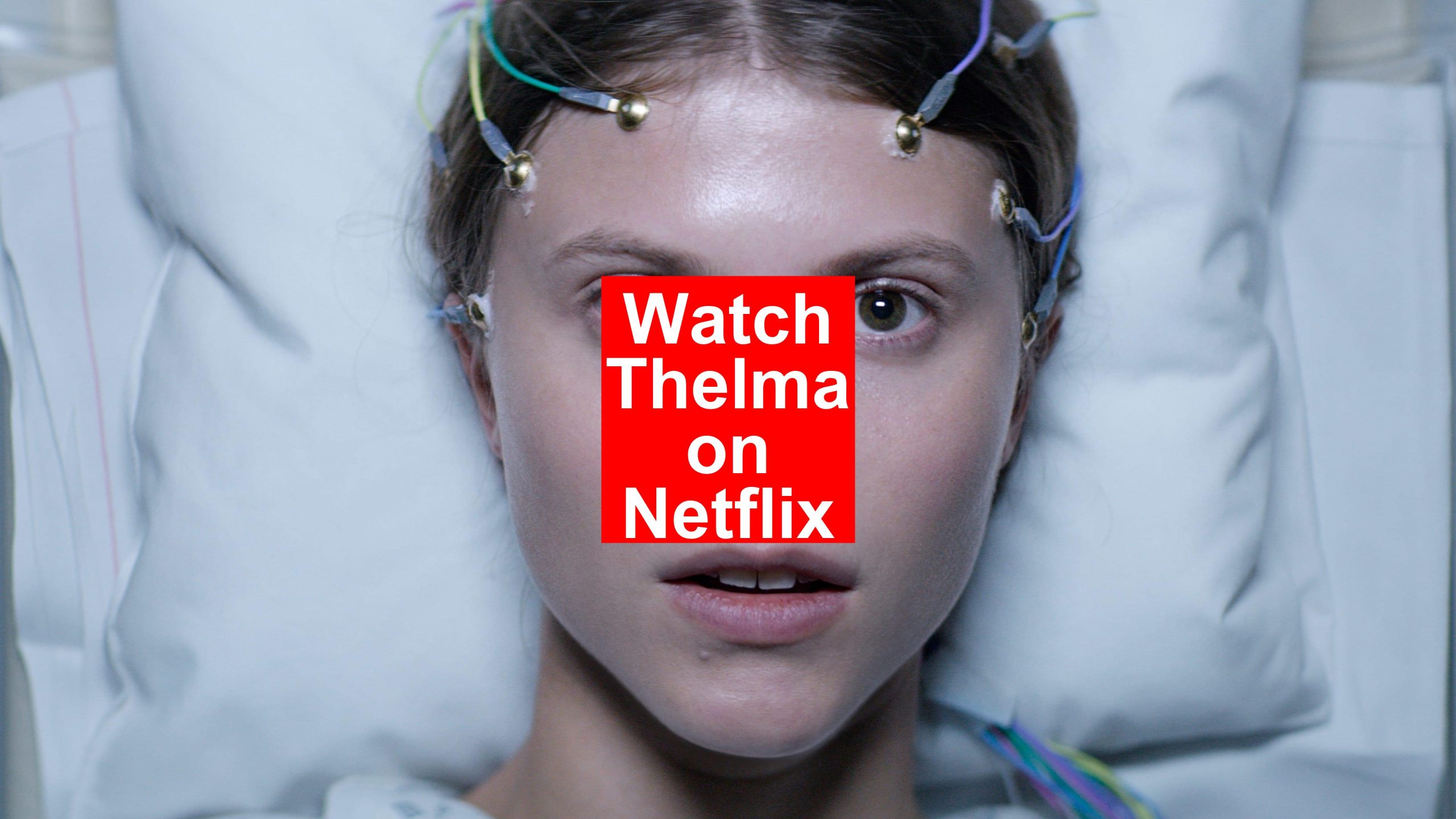 How to Watch Thelma On Netflix [Top Guide 2026] - My Vpn Hub