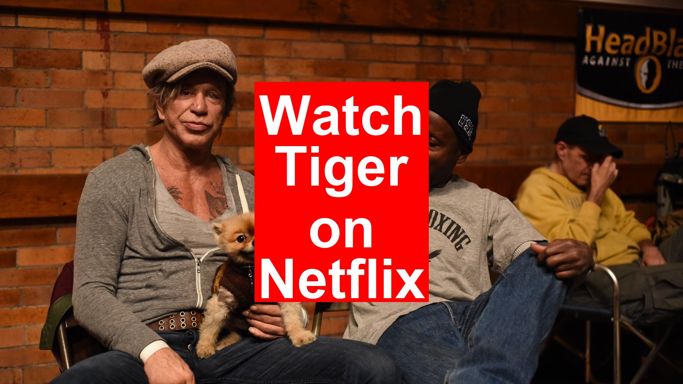 How to Watch Tiger On Netflix [Best Guide 2026] - My Vpn Hub