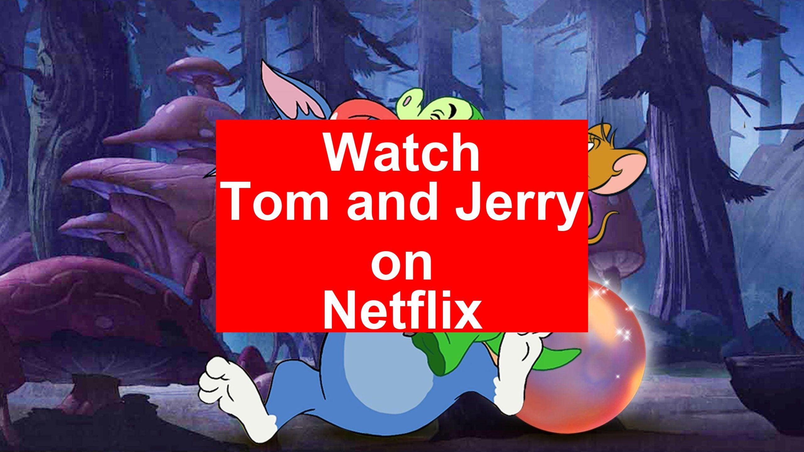 How to Watch Tom and Jerry On Netflix [Top Guide 2026] - My Vpn Hub