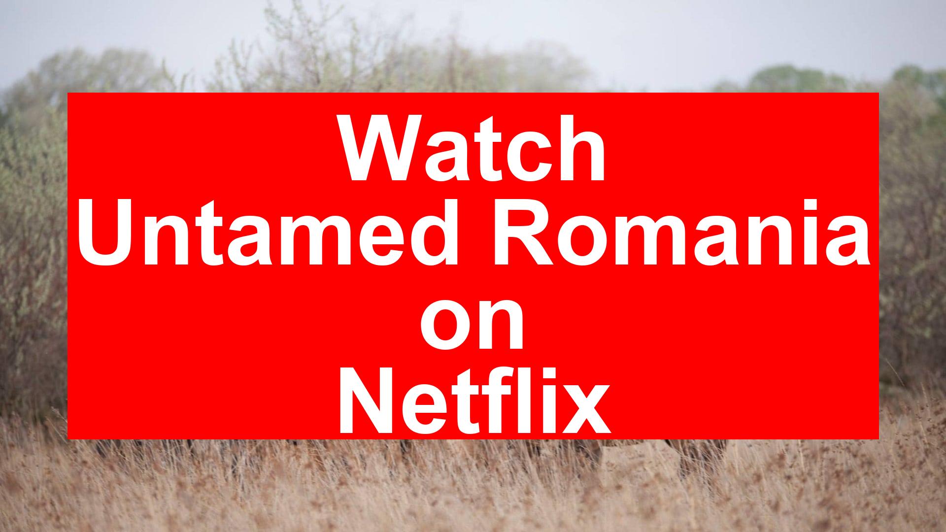 How to Watch Untamed Romania On Netflix [Fast Guide 2026] - My Vpn Hub