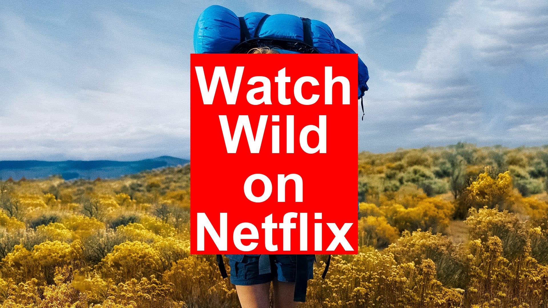 How to Watch Wild On Netflix [Top Guide 2025] - My Vpn Hub