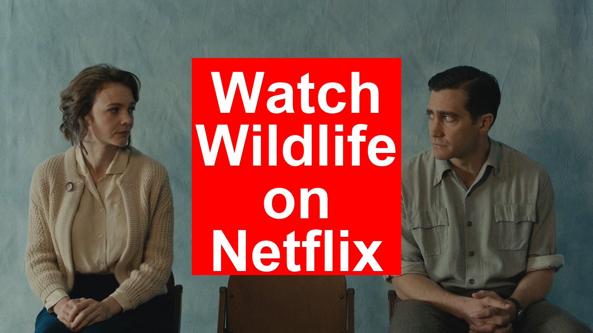 How to Watch Wildlife On Netflix [Fast Guide 2026] - My Vpn Hub