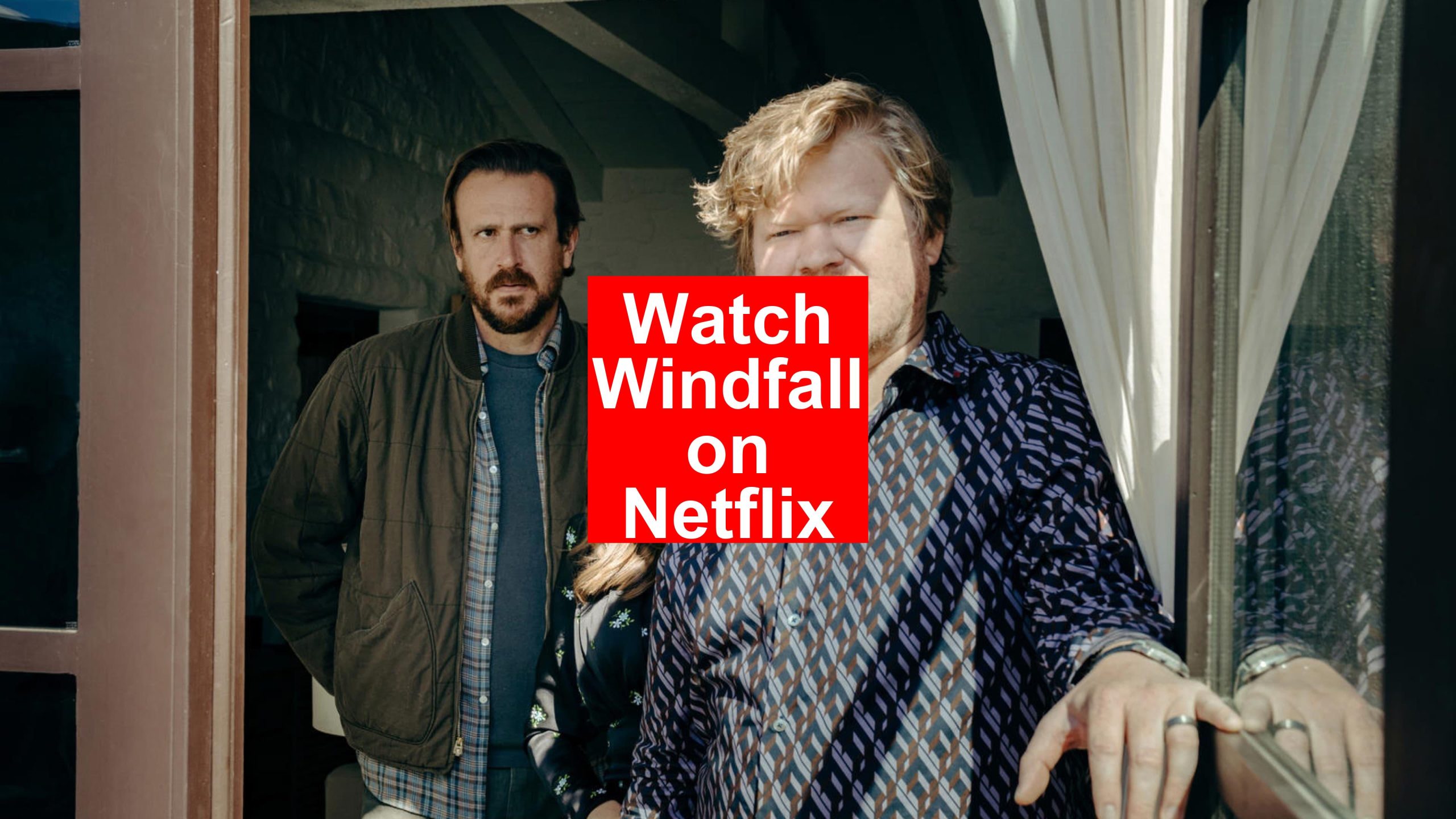 How to Watch Windfall On Netflix [Top Guide 2025] - My Vpn Hub