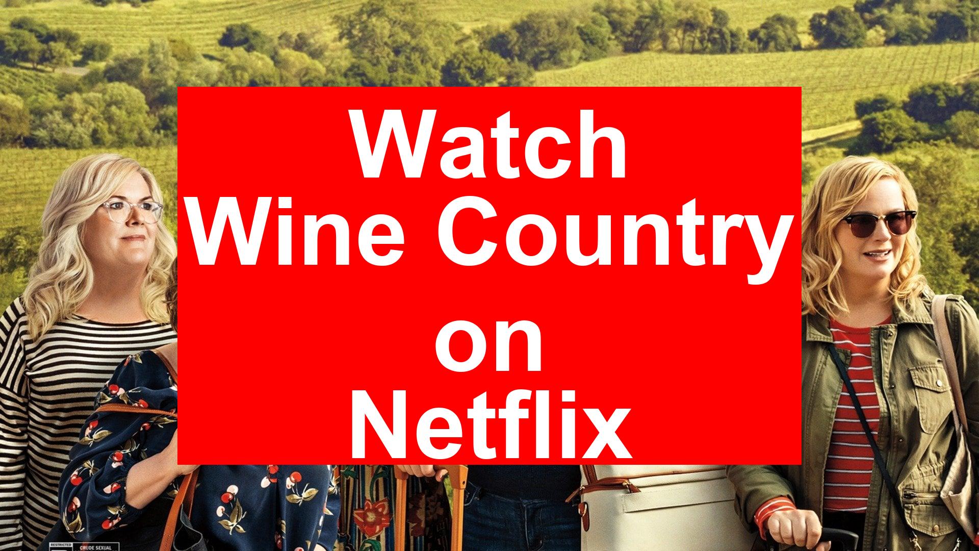 How to Watch Wine Country On Netflix [Easy Guide 2026] - My Vpn Hub