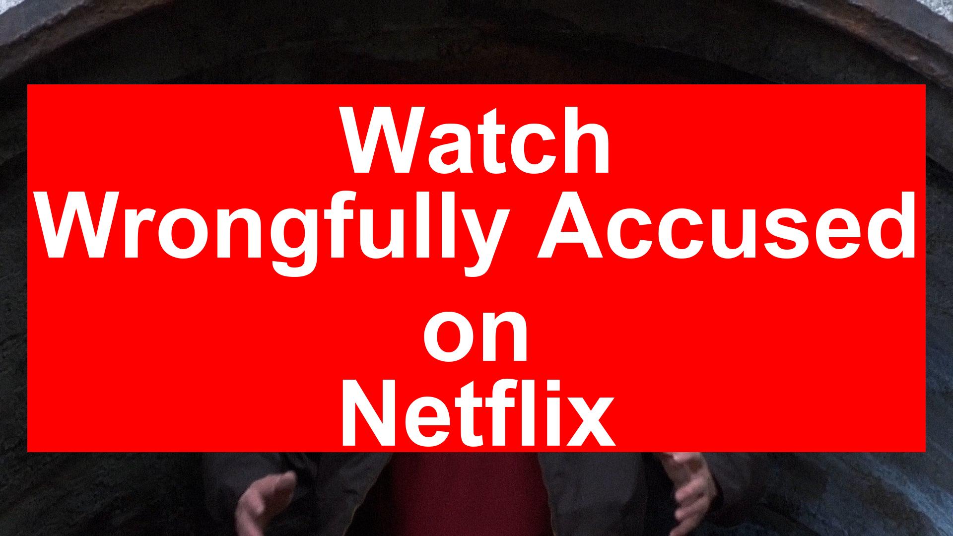 How to Watch Wrongfully Accused On Netflix [Fast Guide 2025] - My Vpn Hub